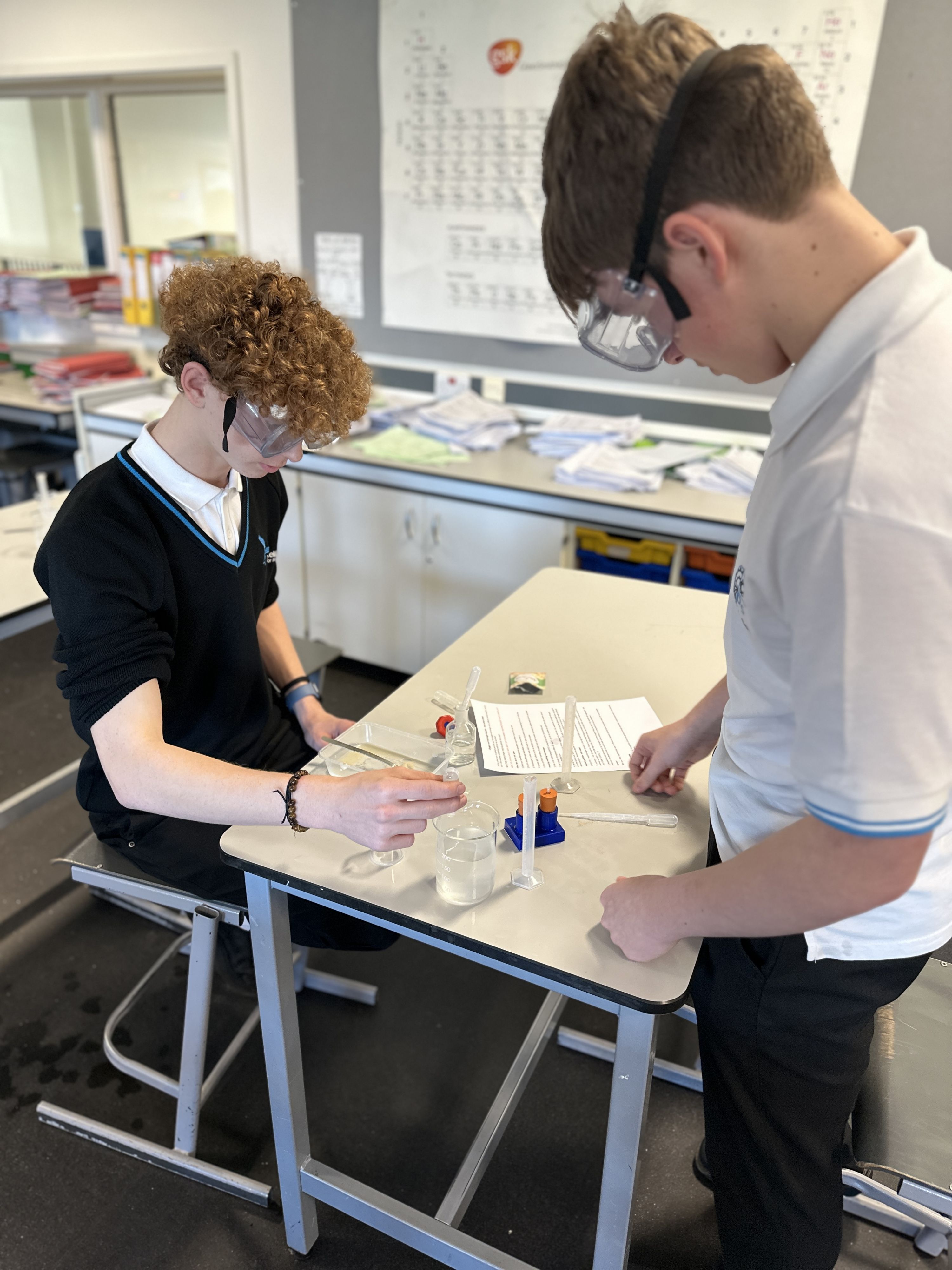 Denefield School Parent Portal - Denefield Newsletter- Term 3 February 2024